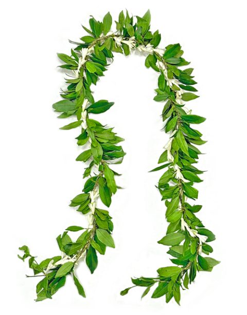 Fresh Fragrant Maile & Tuberose Lei | Hawaii Flower Lei