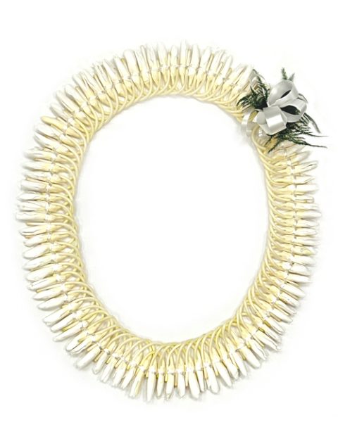 Fresh Micronesian Ginger Lei Shipped Nationwide | Hawaii Flower Lei