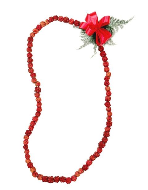 He'e Berry Lei Shipped Nationwide | Hawaii Flower Lei