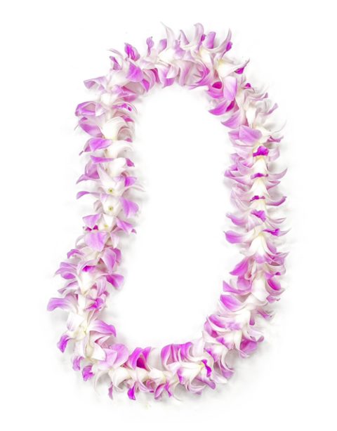 Large Order of Fresh Orchid Leis in Bulk | Hawaii Flower Lei