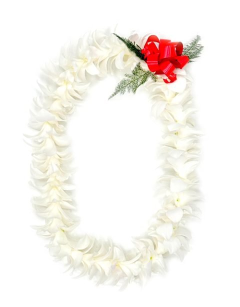 White Orchid Lei: Single Strand | Hawaii Flower Lei