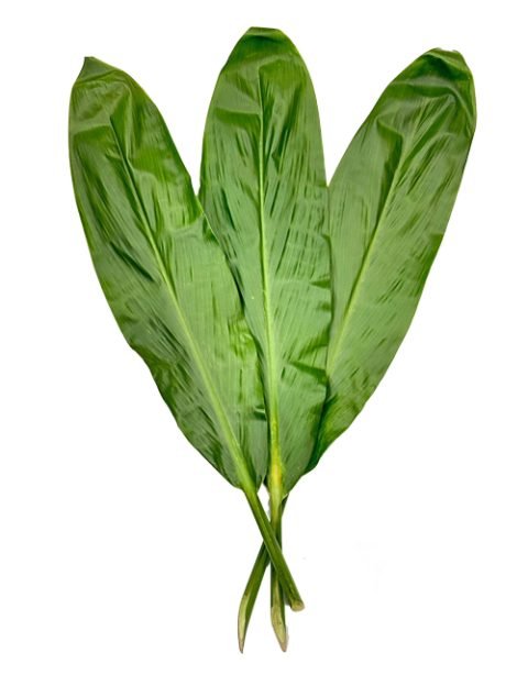 Fresh Hawaiian Ti Leaves Delivered Nationwide | Hawaii Flower Lei