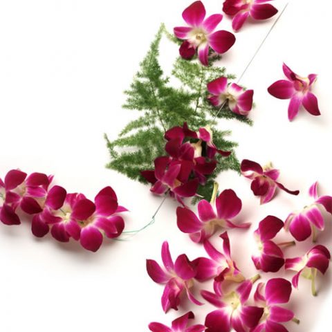 Lei Making Instructions, How to Make a Lei | Hawaii Flower Lei