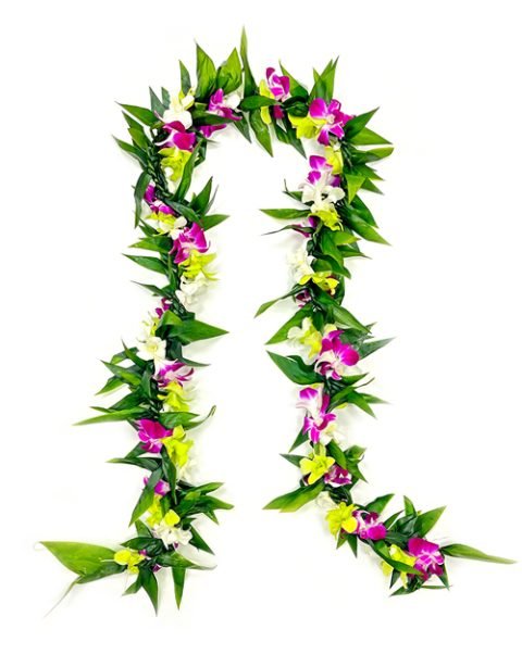 Maile-Style Ti Leaf & Orchid Lei - Colorful Mix | Hawaii Flower Lei