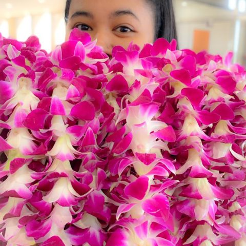 Kukui Nut Leis & Shell Necklaces | Hawaii Flower Lei