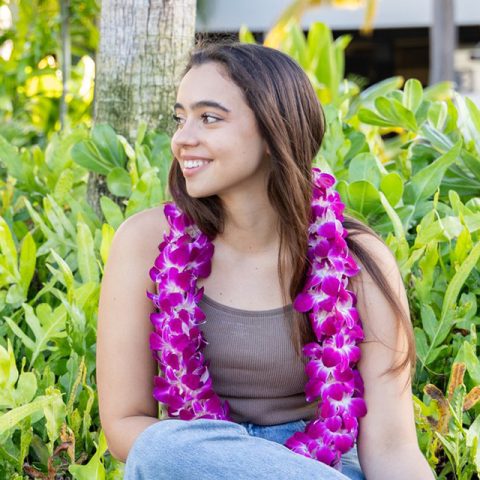 Shop Hawaii Flower Lei, Enjoy Expert Packaging & Fast Reliable Delivery